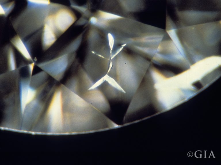 Under the Scope: Unique Diamond Inclusions | GIA 4Cs