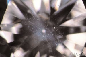 VVS Diamond versus VS Diamond: What’s the Difference in Diamond Clarity?